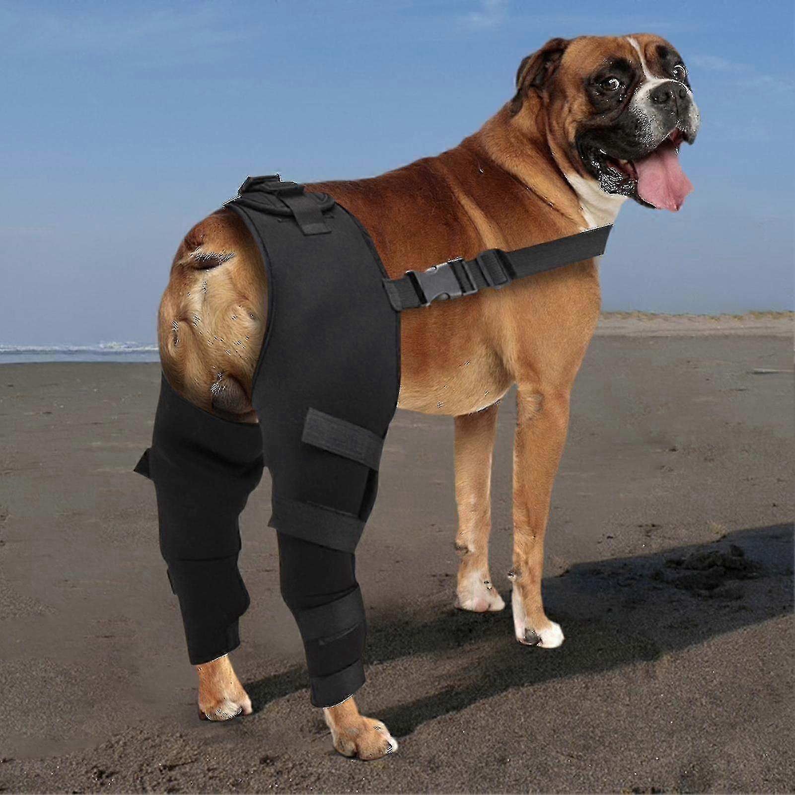 Dog Hip Brace | Adjustable Pet Dog Legs Protector Supporter | Knee ...