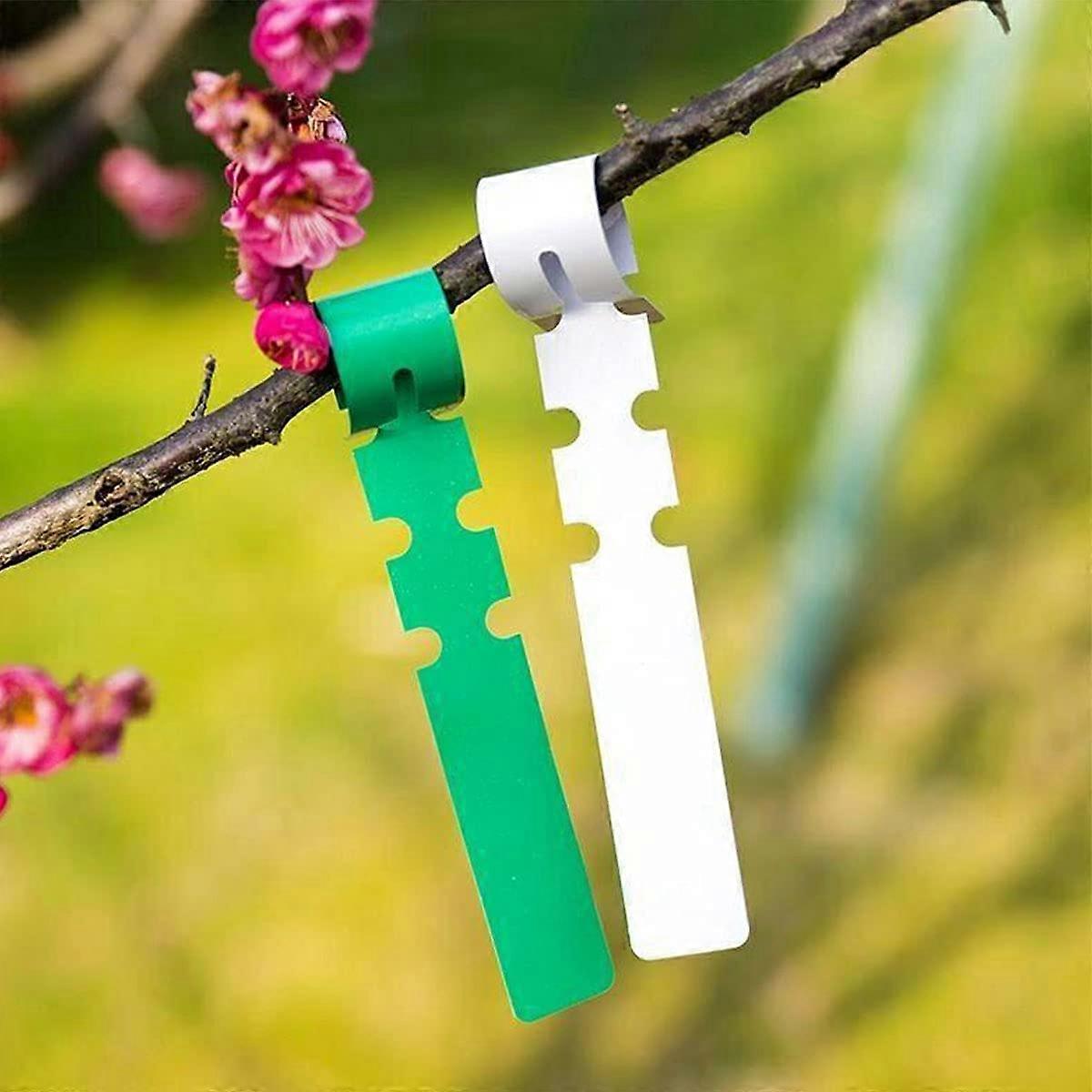 250Pcs Garden Plant Tags, Colored PVC Weatherproof Plastic Labels ...