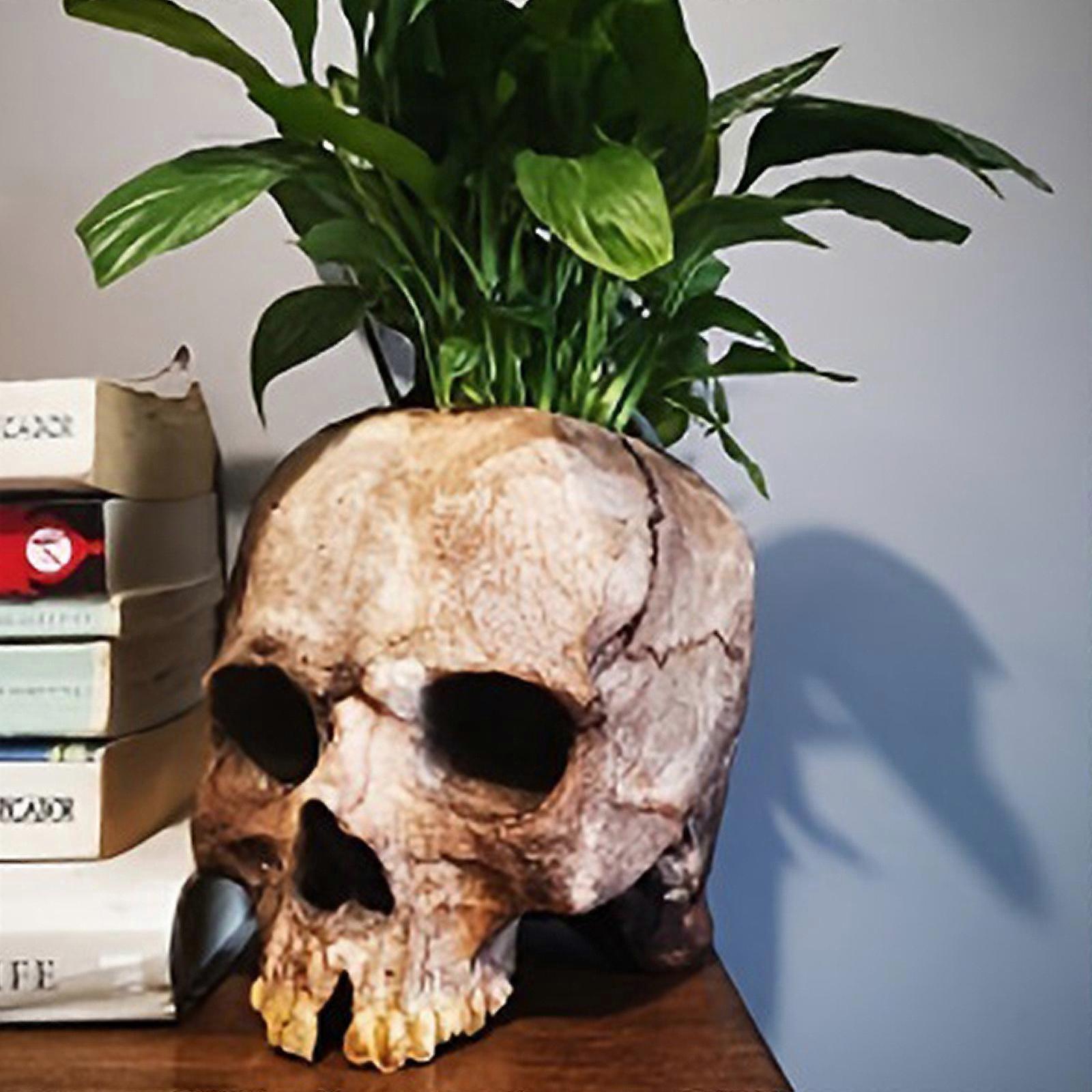 1/2pcs Retro Human Skull Head Flower Pot Planter, Skull Plant Pot Art ...