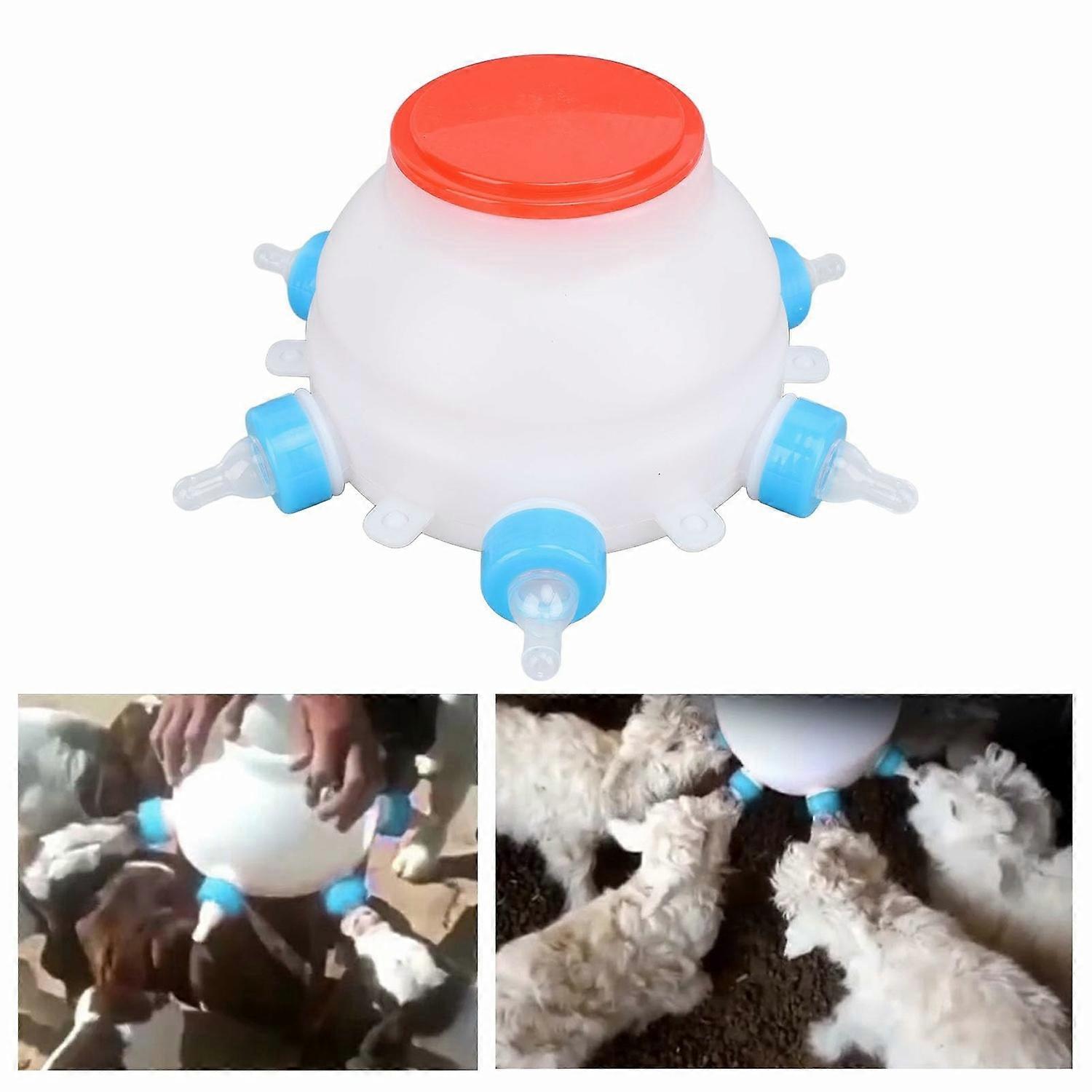 Piggy Milk Feeder 2.5L Round Piglet Poultry Breeding Feeder with 6 ...
