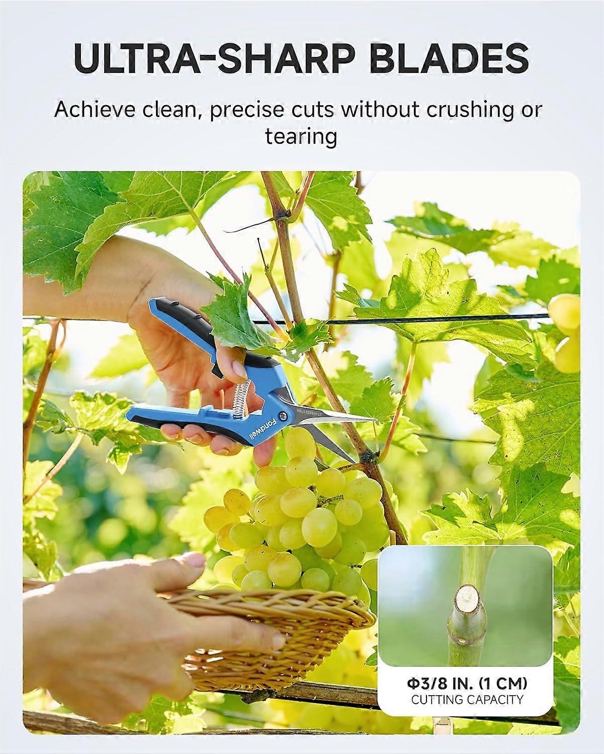 6.5" Pruning Shears Trimming Scissors: Small Garden Snips with Micro ...