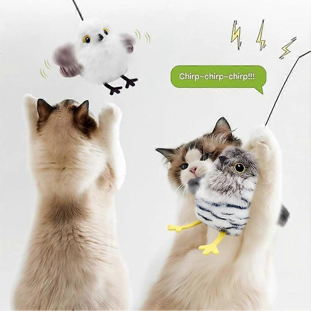 Celery Pets Rechargeable Flapping Bird Cat Toy, New Interactive Cat ...