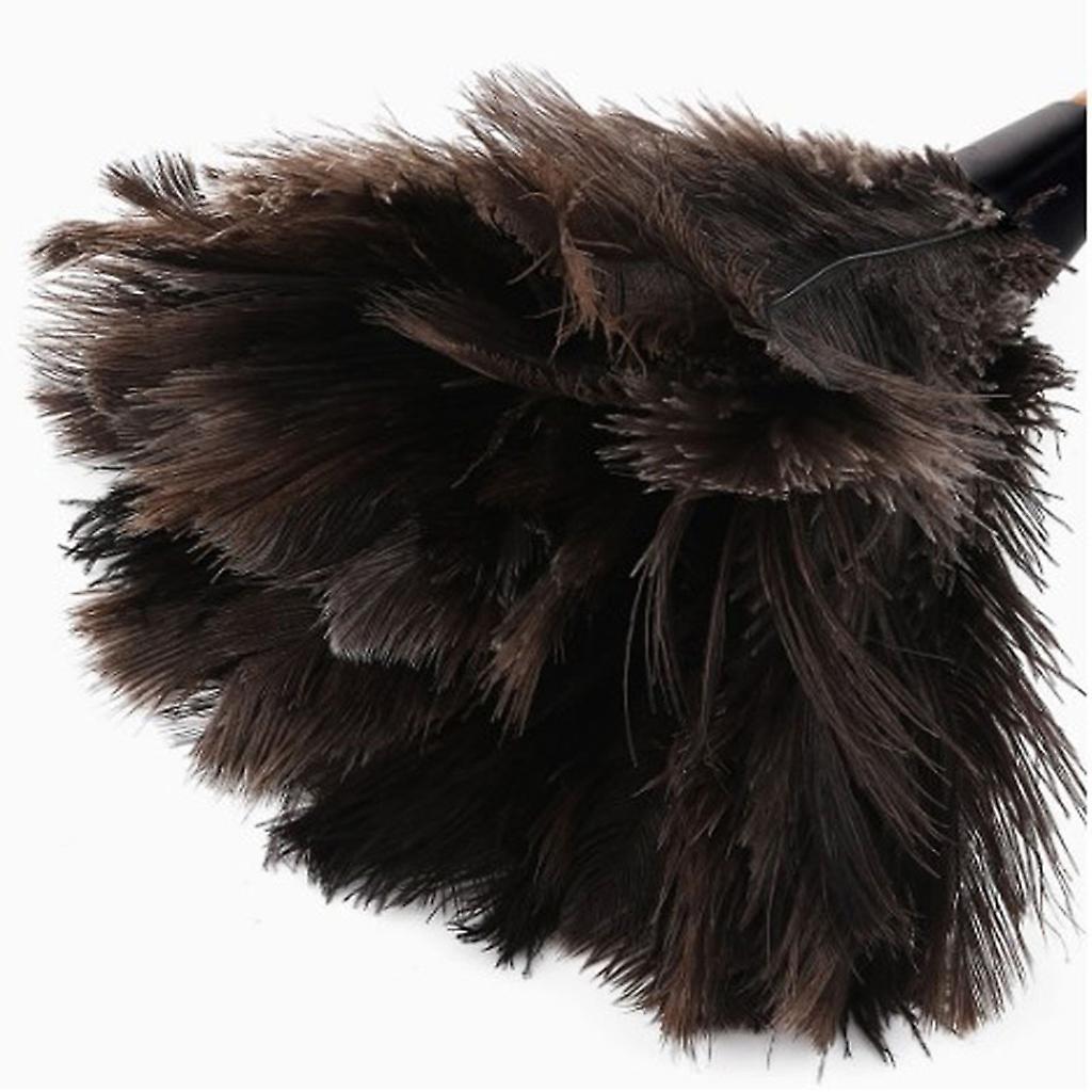 Fluffy Ostrich Feather Duster Dust Duster Solid Wood Handle Dust Brush ...