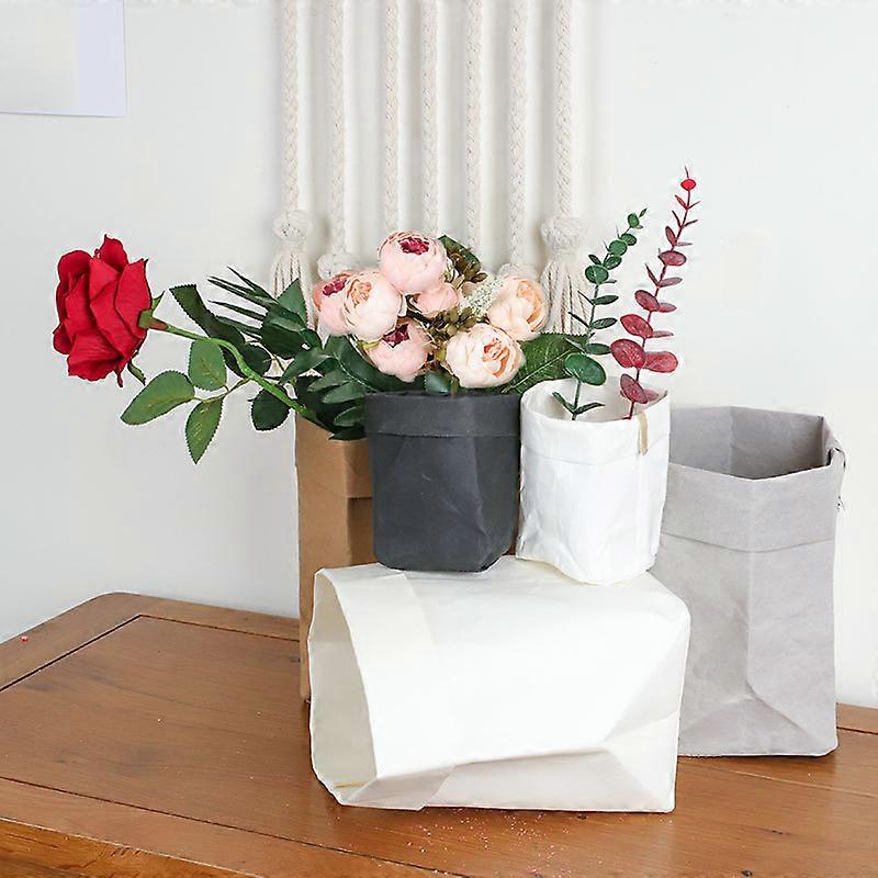 Washable Kraft Plant Growing Kits Paper Flowerpot Mini Succulents ...