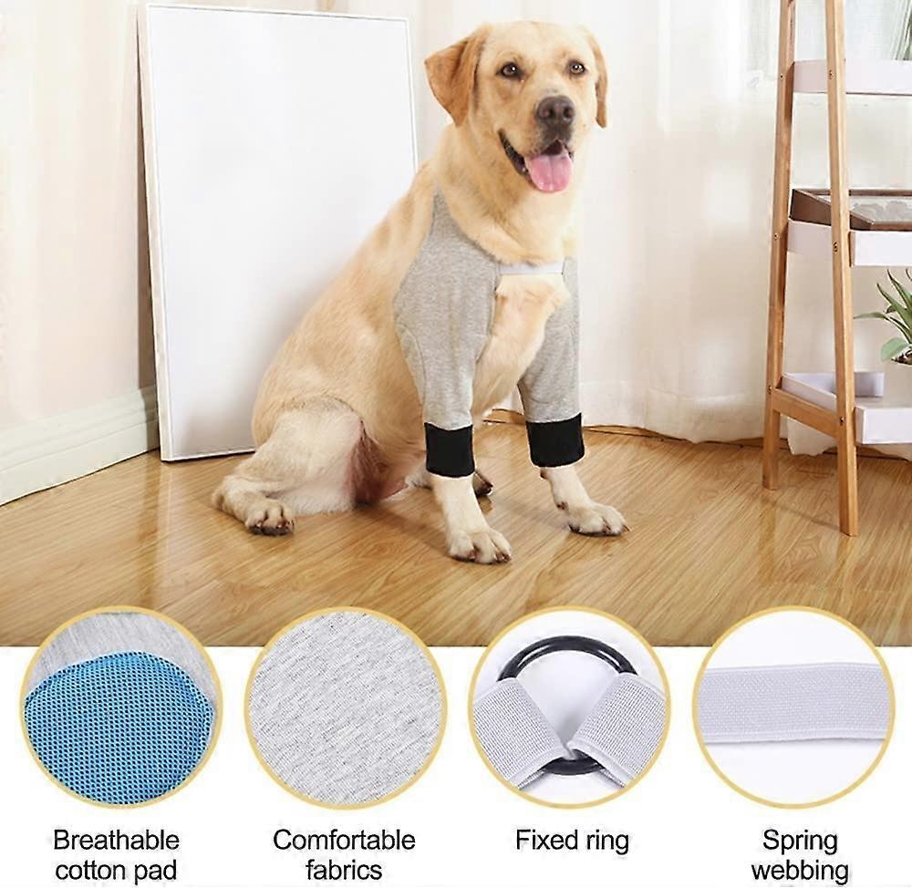 Dog Surgery Recovery Sleeve For Forelegs, Forelegs, Forelegs, For ...