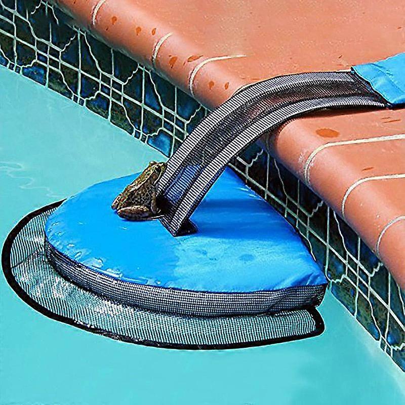 Animal Saving Escape Ramp For Pool Floating Ramp Rescues Frog Log Pad ...