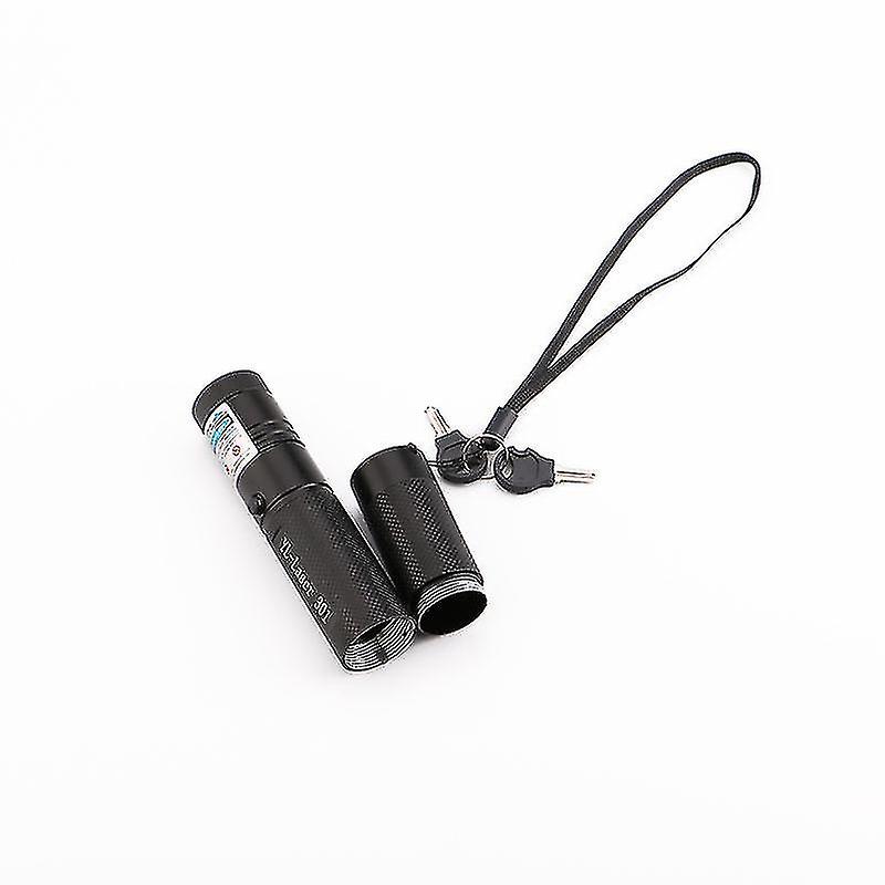 Laser 301 Purple Laser Pointer Pen Adjustable Focus Super Laser Visible ...