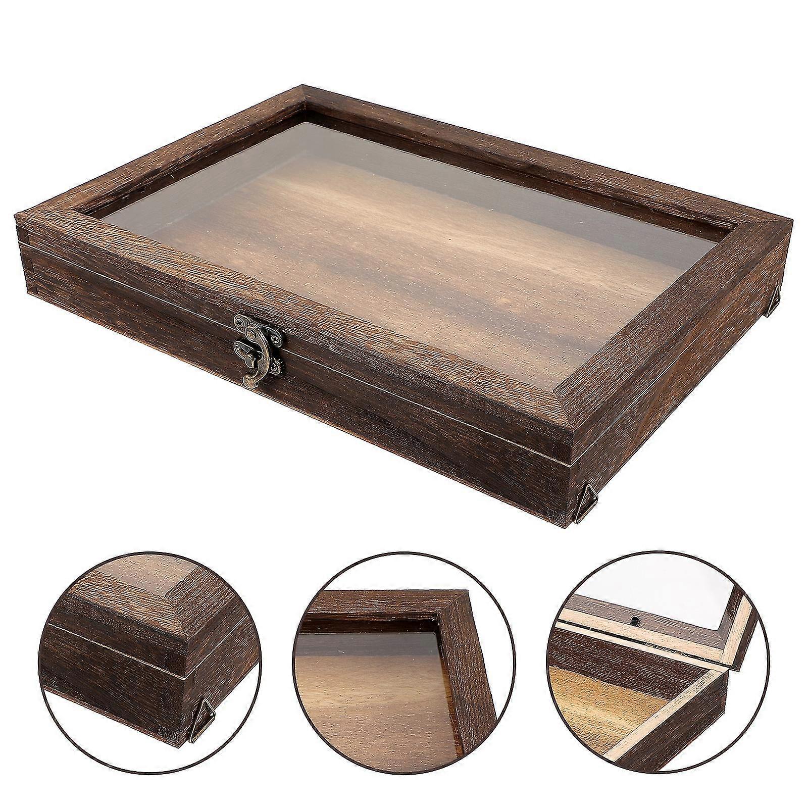 Insect Specimen Display Case Dustproof Specimen Case Butterflies ...