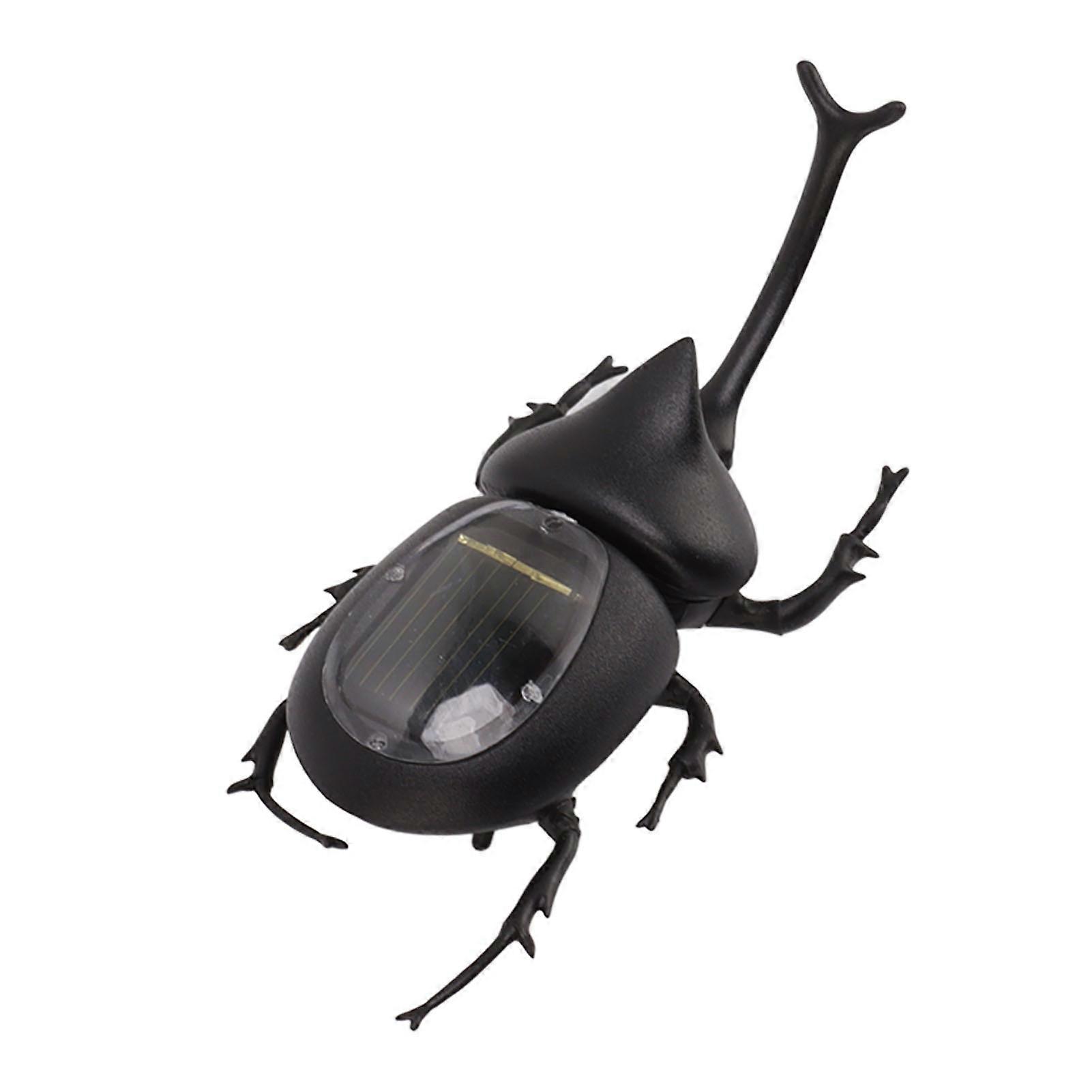 Solar Powered Insect Toy Simulated Energy Saving Realistic Home ...