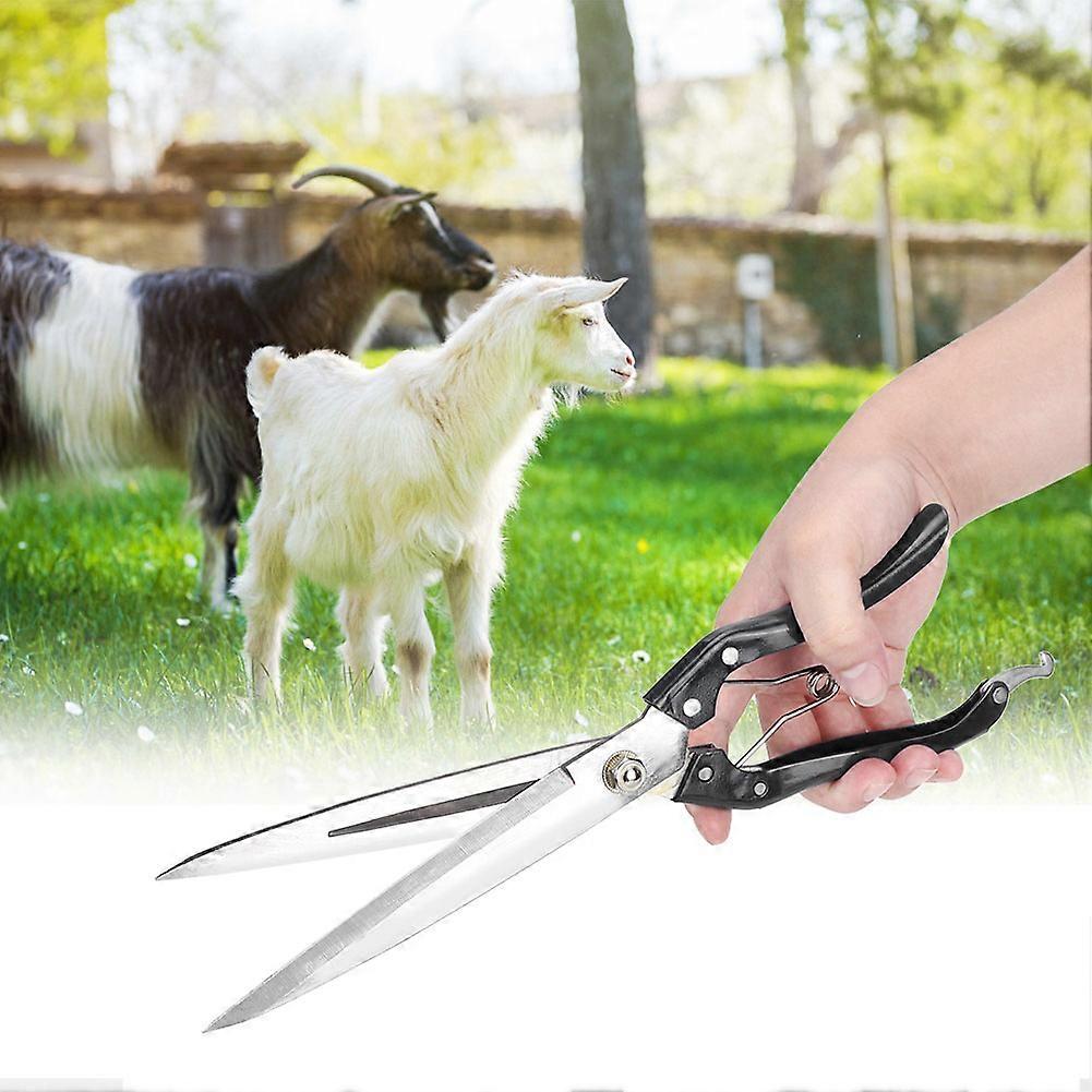 Hand Shears for Cutting Hair Wool of Sheep Goat Horse Rabbit and Pets ...