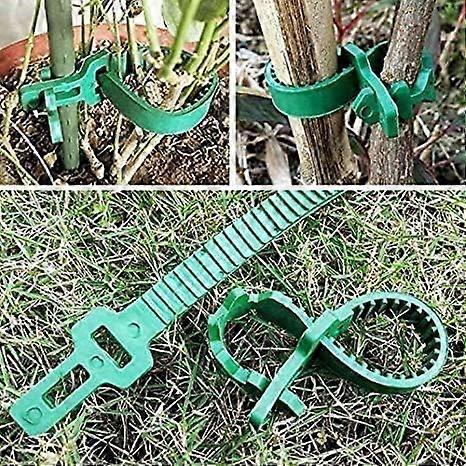 10Pcs Adjustable Plant Ties,Tree Ties Straps Supports Shrub Ties for ...