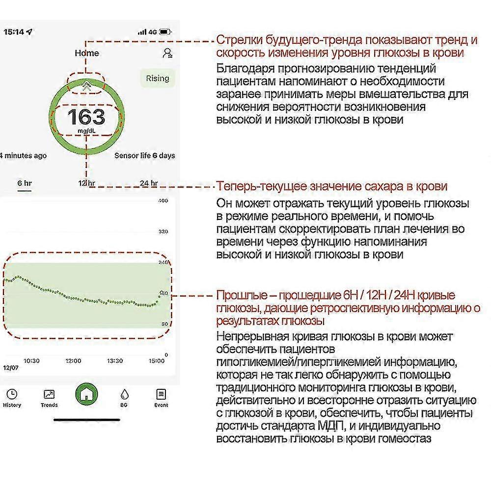 Born Pretty Russian Freestyle Libre Sensor Remote 24h Dynamic Blood ...