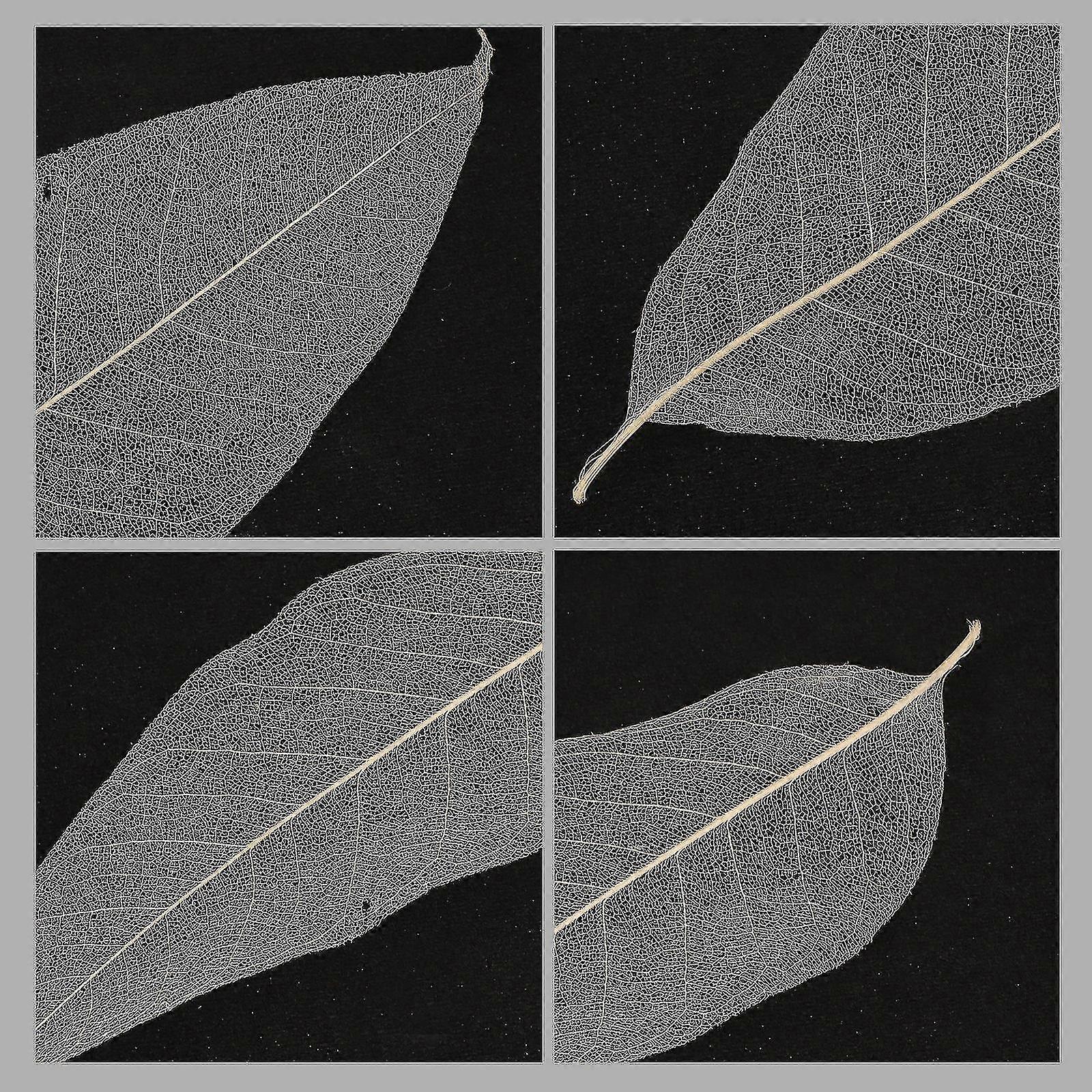 100 Pcs Skeleton Leaves Art Decor Skeleton Leaves Natural Skeleton ...