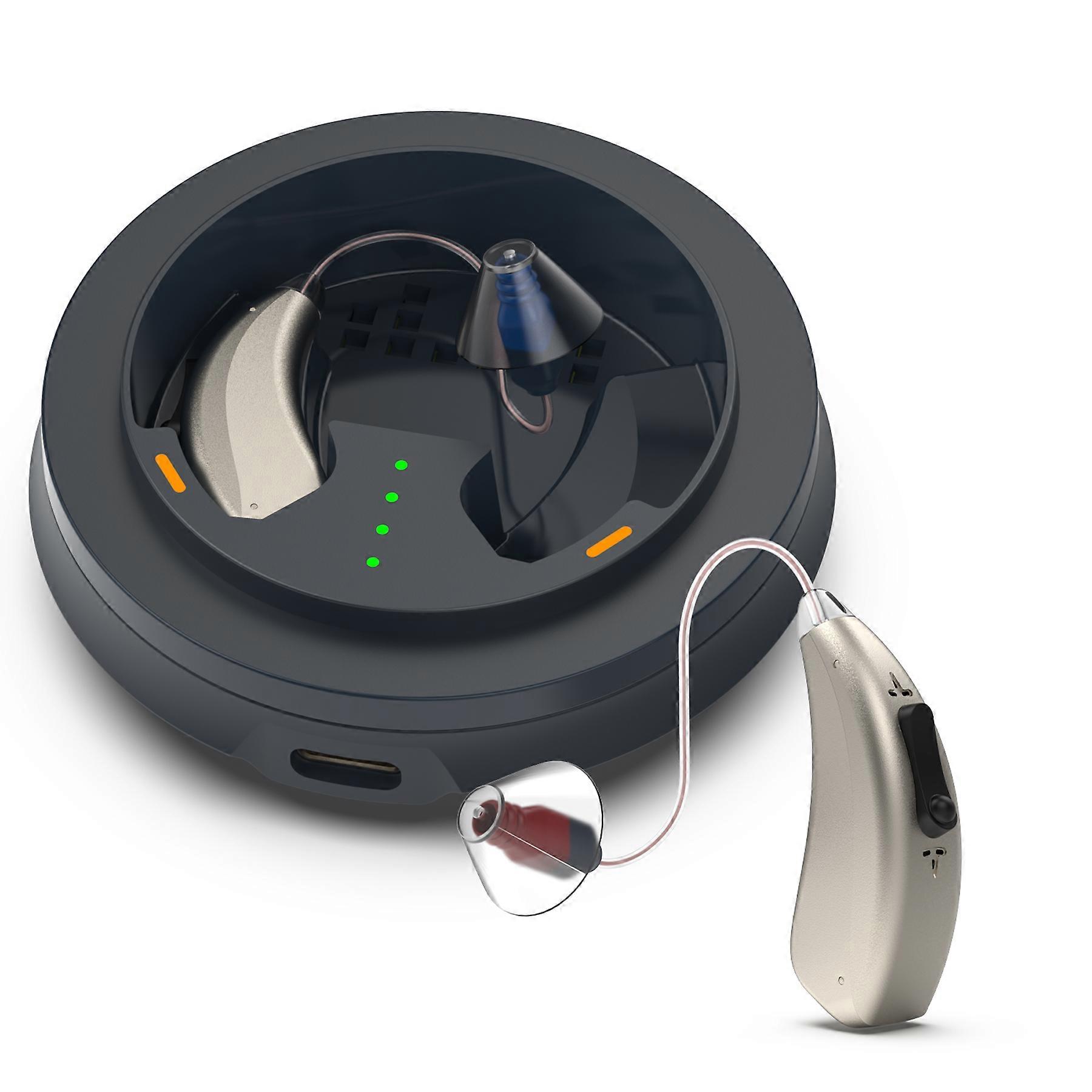 RIC Hearing Aids for Seniors Rechargeable with Noise Cancelling Dual ...