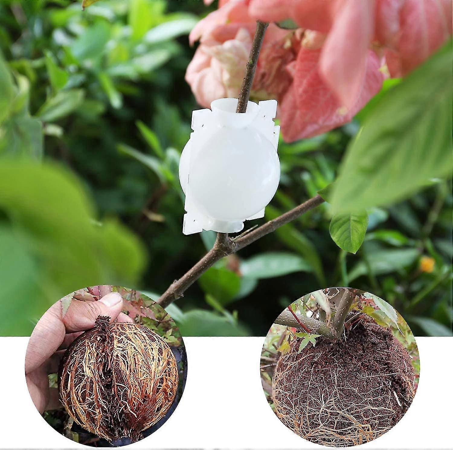 10pcs Air Layering Propagation Balls Hight-pressure Plant Rooting Ball ...