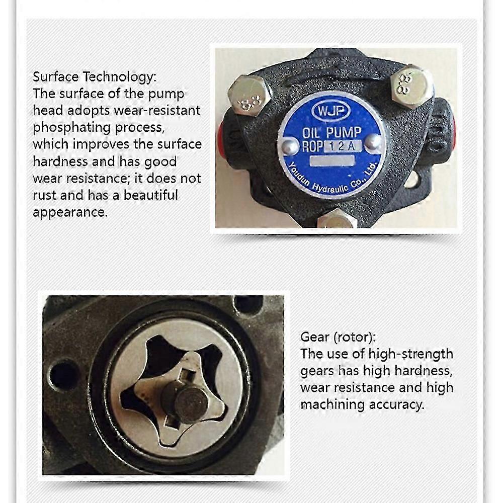 2025 New Cycloid Oil Pump -13AVB Pressure Adjustable Triangle Pump ...