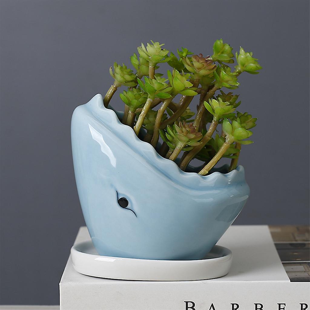 Shark Succulent Planter Pot with Drainage Tray Ceramic Cactus Flower ...