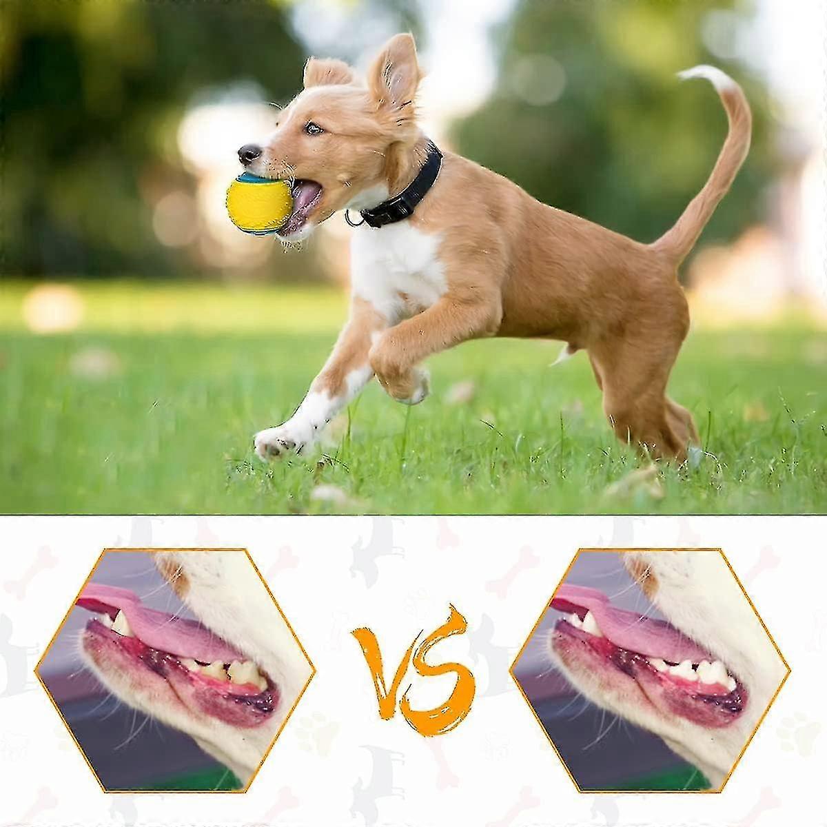 3pcs Squeaky Dog Ball, Scooby Doo Dog Ball Toy Teeth Cleaning Puppy ...