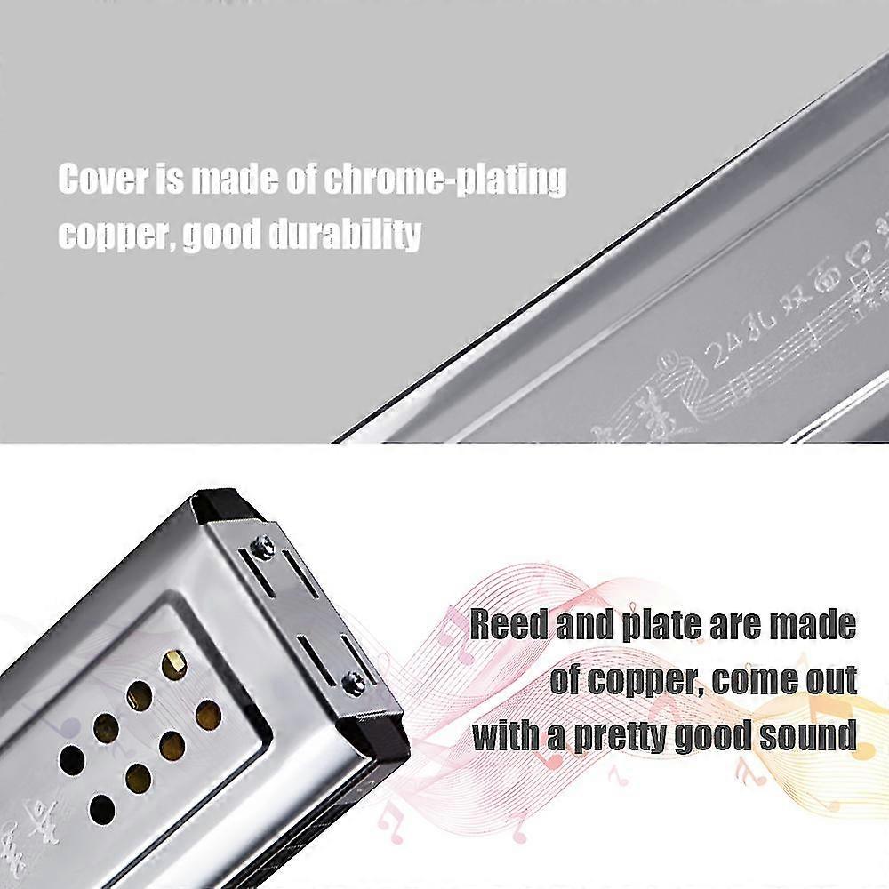 2-in-1 Tremolo Harmonica Mouth Organ Dural Key Of C&g 24 Double Holes ...