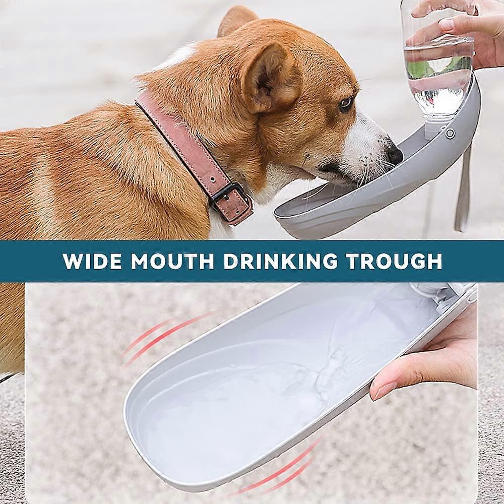 Dog Water Bottle, Walking Dog Water Bottle, Collapsible Dog Water Bottle Travel Dog Water Bottle ...