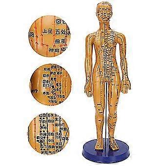 Human Body Acupuncture Model - FemaleMale Copper Color, with Meridians ...