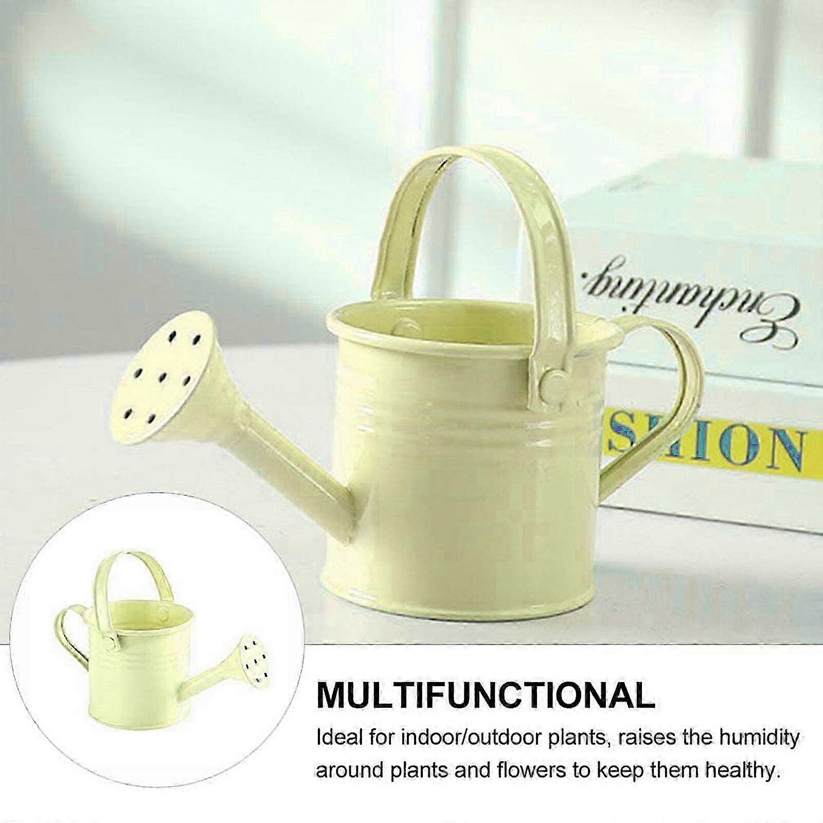 Portable Metal Watering Can with Long Spout, Wrought Iron Handle for ...