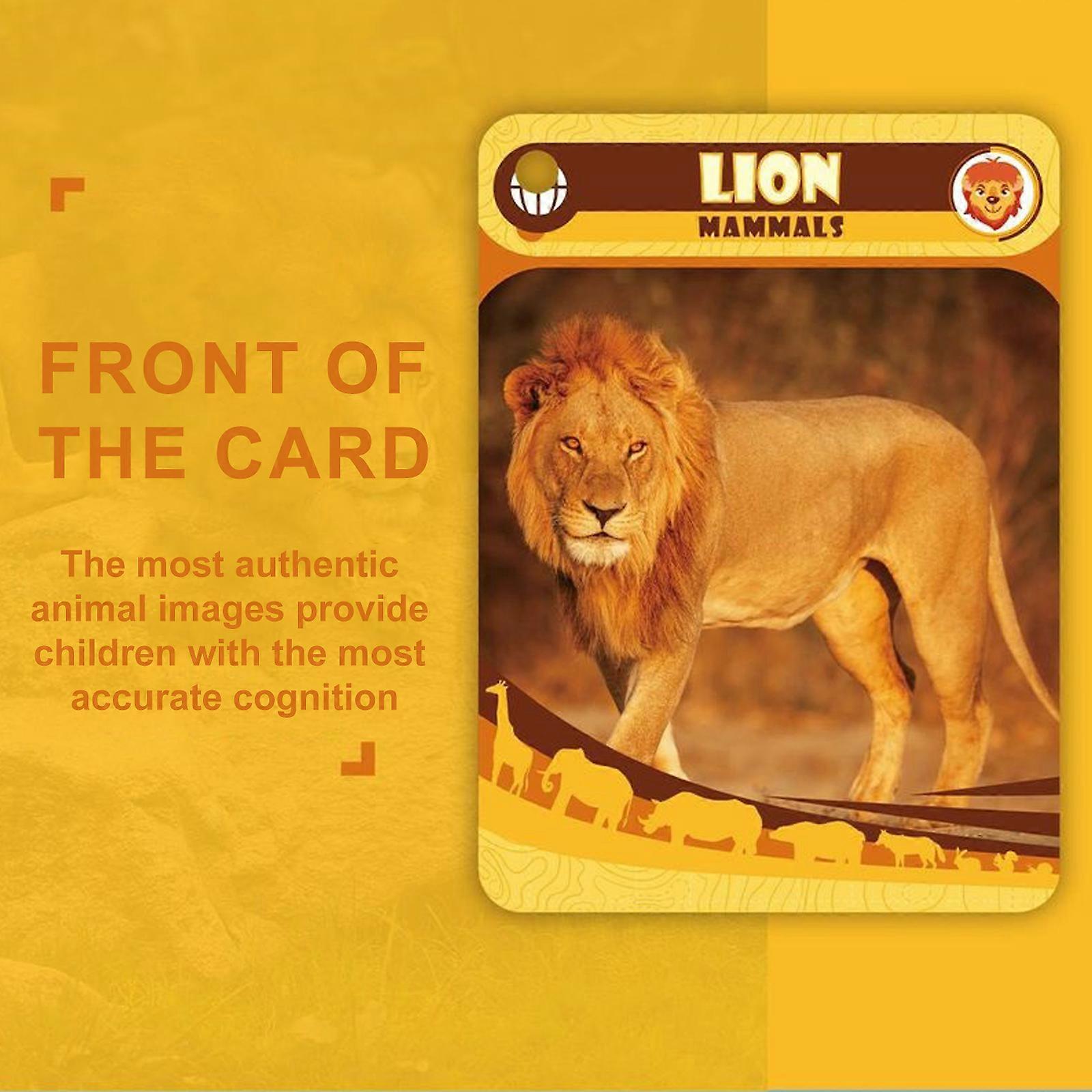 50PCS Toddler Animal Flashcards, Realistic Educational Set | Fruugo UK