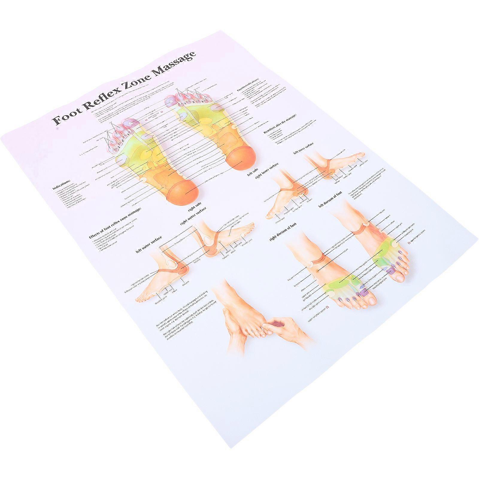 Foot Reflexology Chart Poster Massage Knowledge Poster Wall Art Home ...