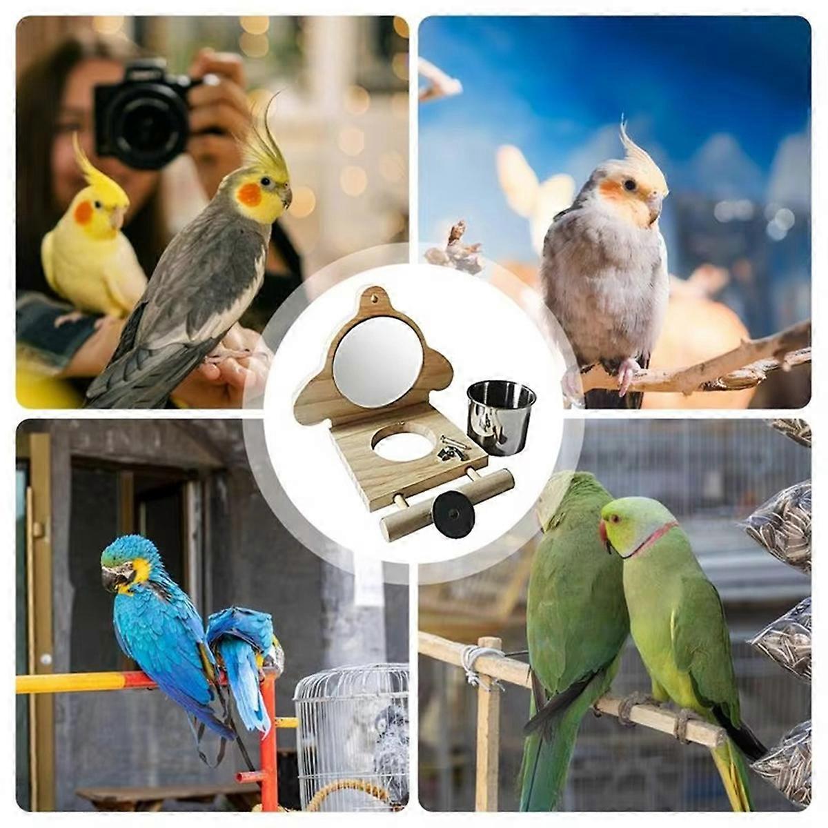 Parrot Perch Wooden Parakeet Mirror Toy Bird Parrot Perch with Mirror ...