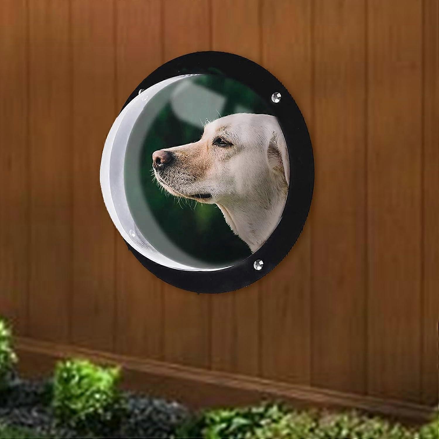 Dog fence window viewer, transparent pet bubble window, acrylic viewing ...