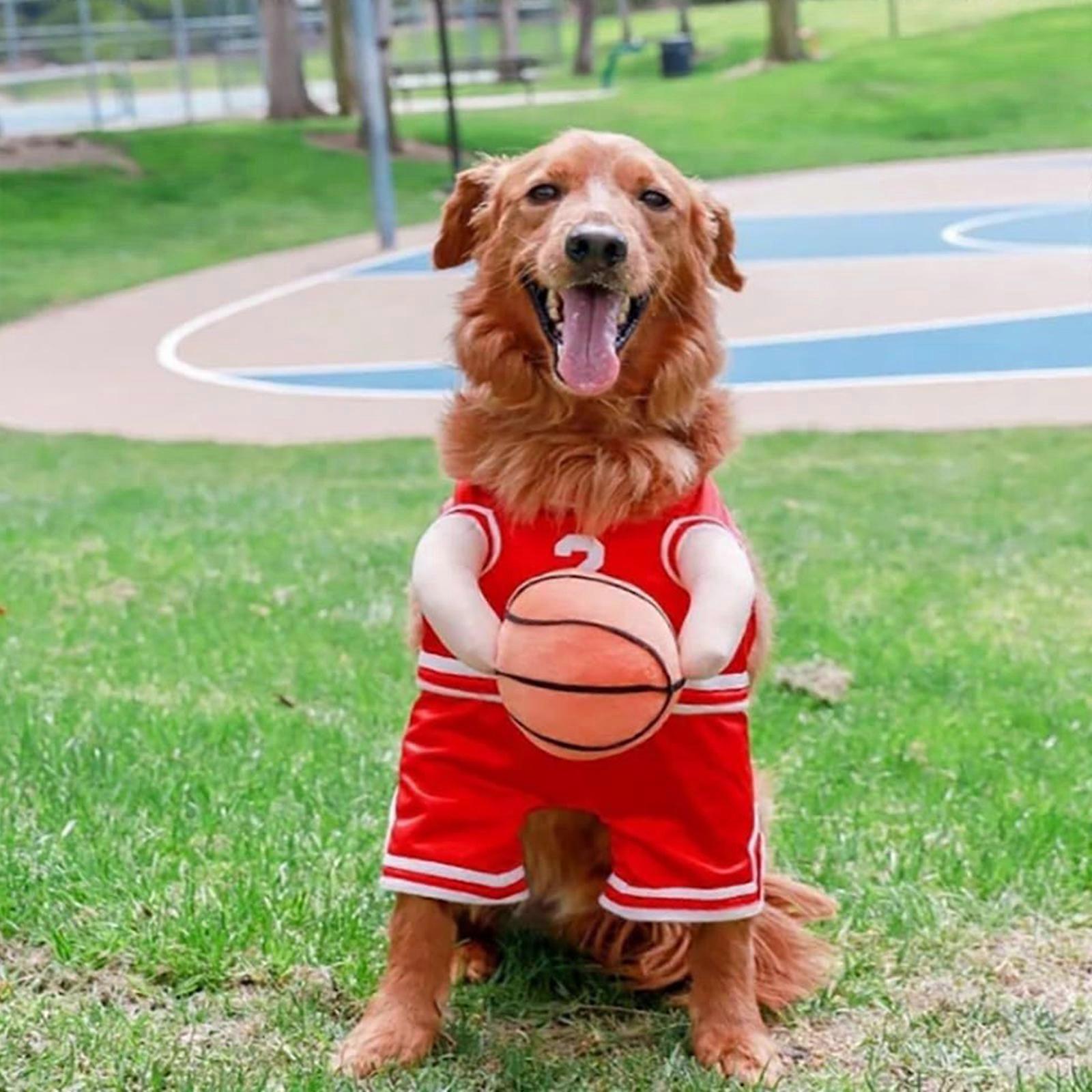 50% Off-Dog Basketball Player Costume with Ball Puppy Basketball ...