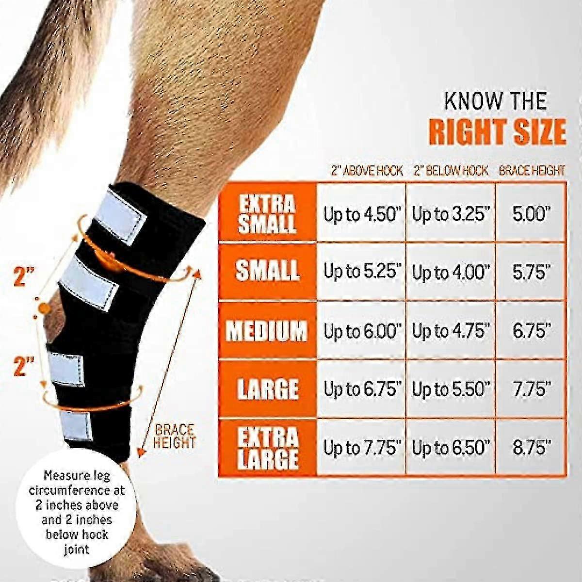 Dog hock support for joint pain, rear leg brace with reflective straps ...