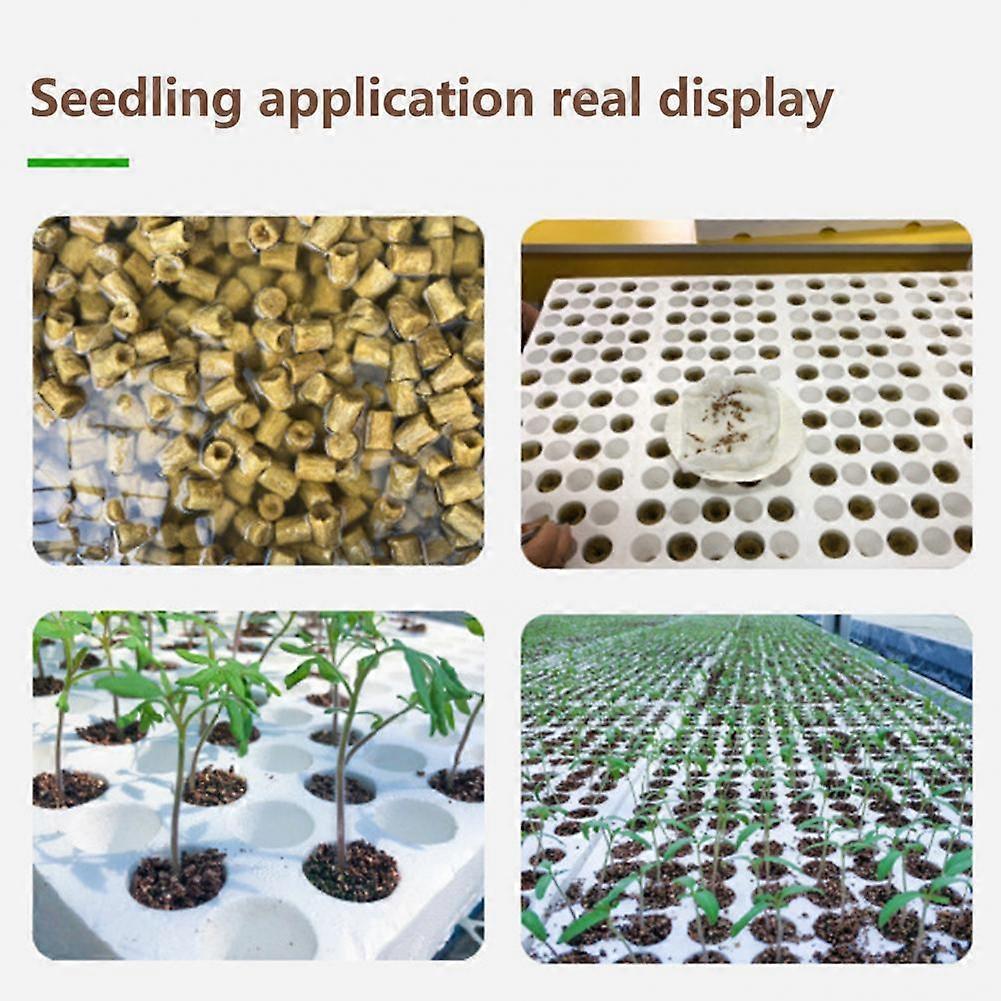 50Pcs Practical Hydroponic Sponge Easy to Transplant Rock Wool Grow ...