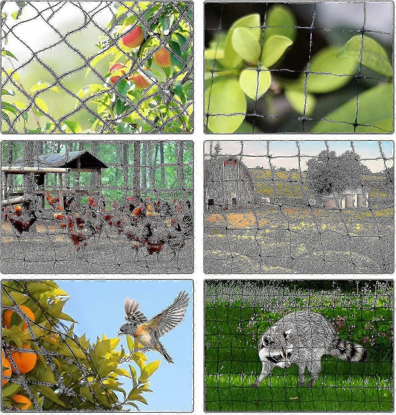 HDPE Bird Protection Net 15m X 15m UV Resistant Garden Mesh 5X5cm Holes W | Fruugo UK