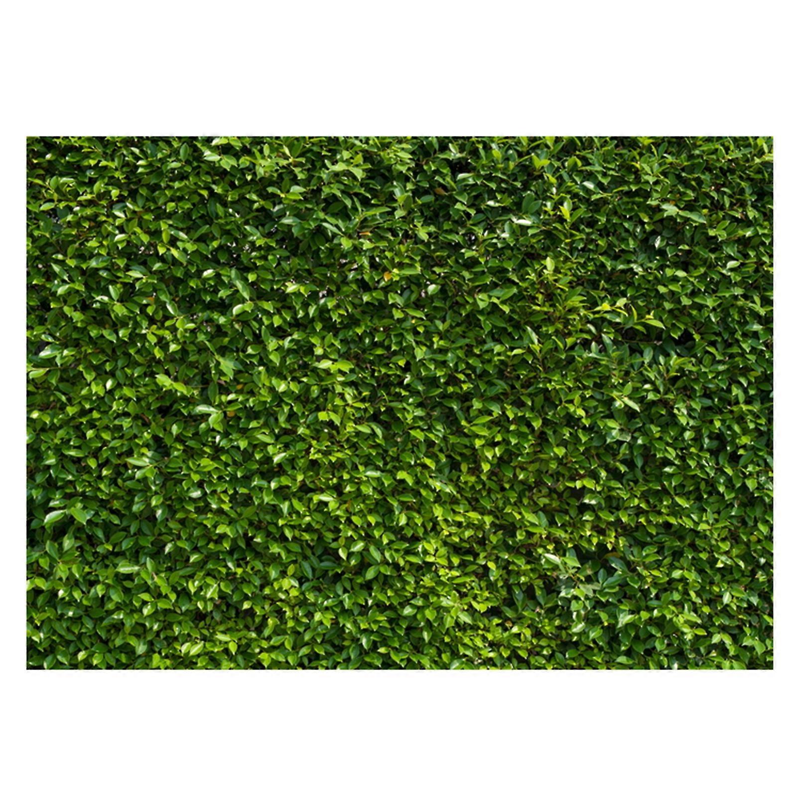 Green Backdrop Greenery Wall Backdrop Green Leaves Backdrop Green Grass ...
