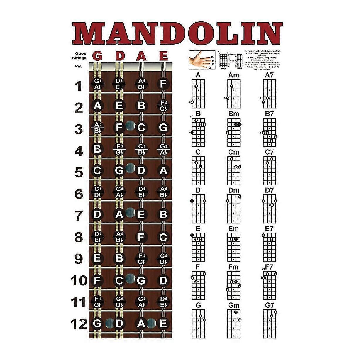 Mandolin Poster Chart Chord Musical Trainning Instrument Guide Chords ...