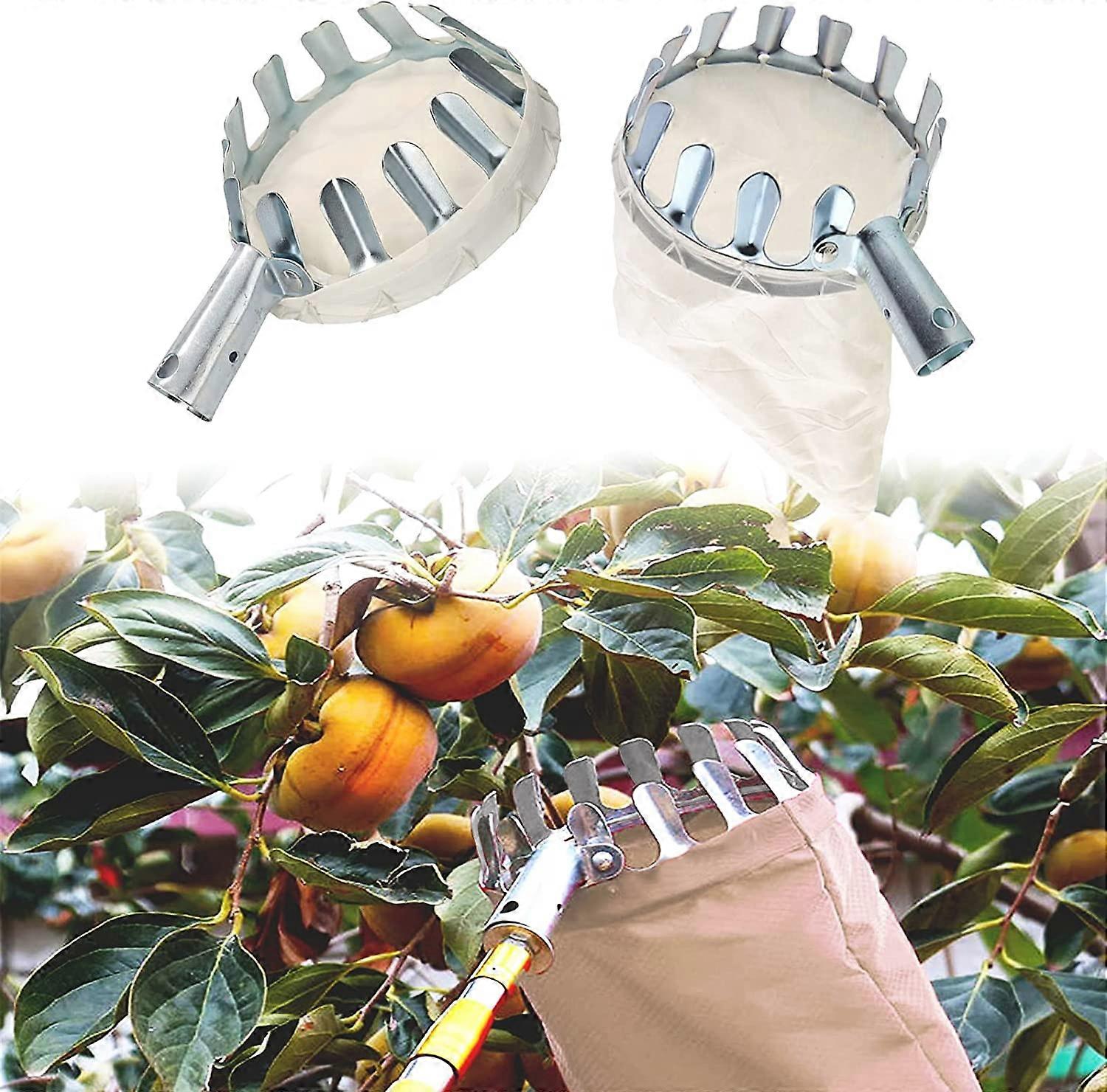 Fruit Picker, 1 Fruit Collector, Metal Fruit Picker, Fruit Picker with ...