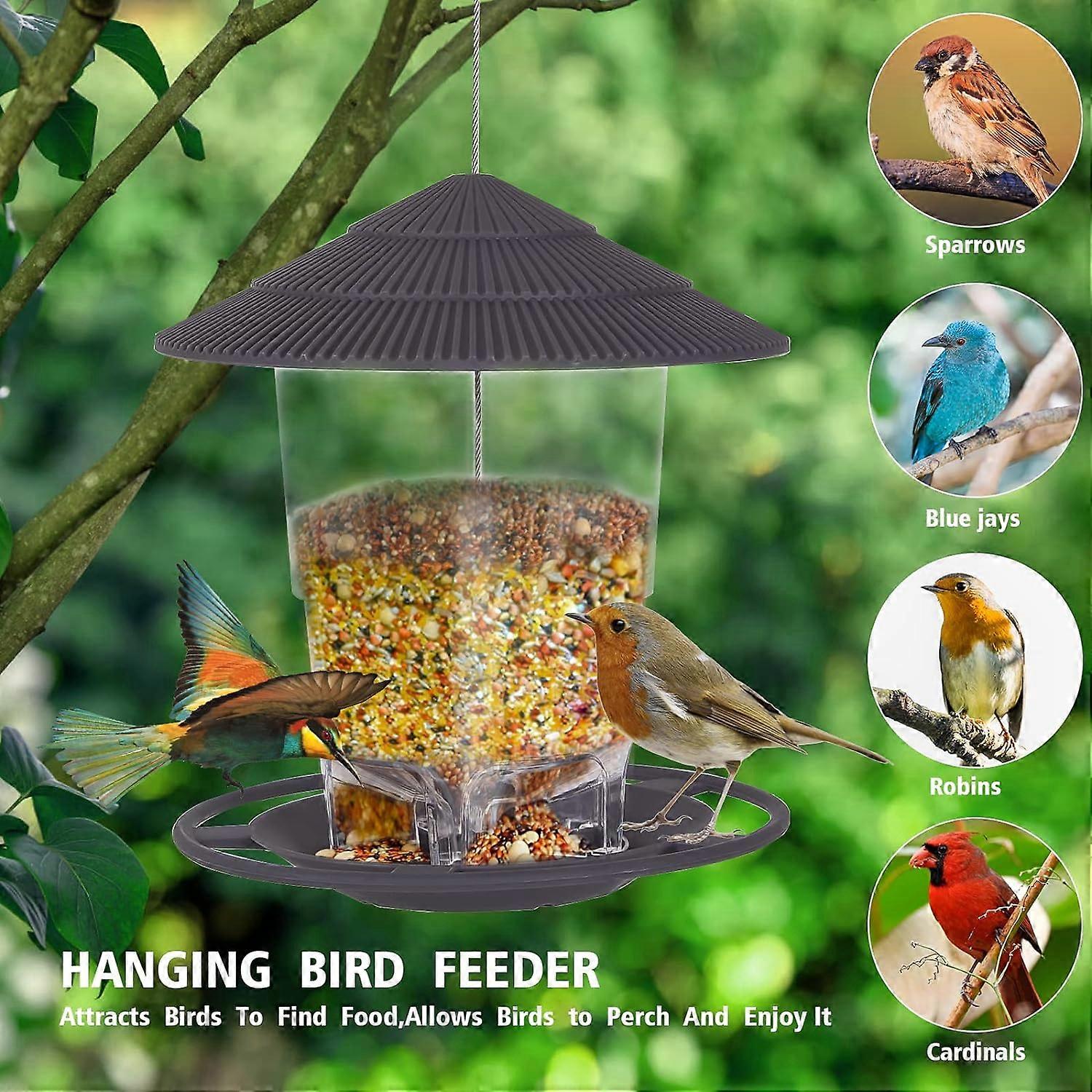 Hanging Bird House Lantern Bird House Bird Feeder with Roof Outdoor ...