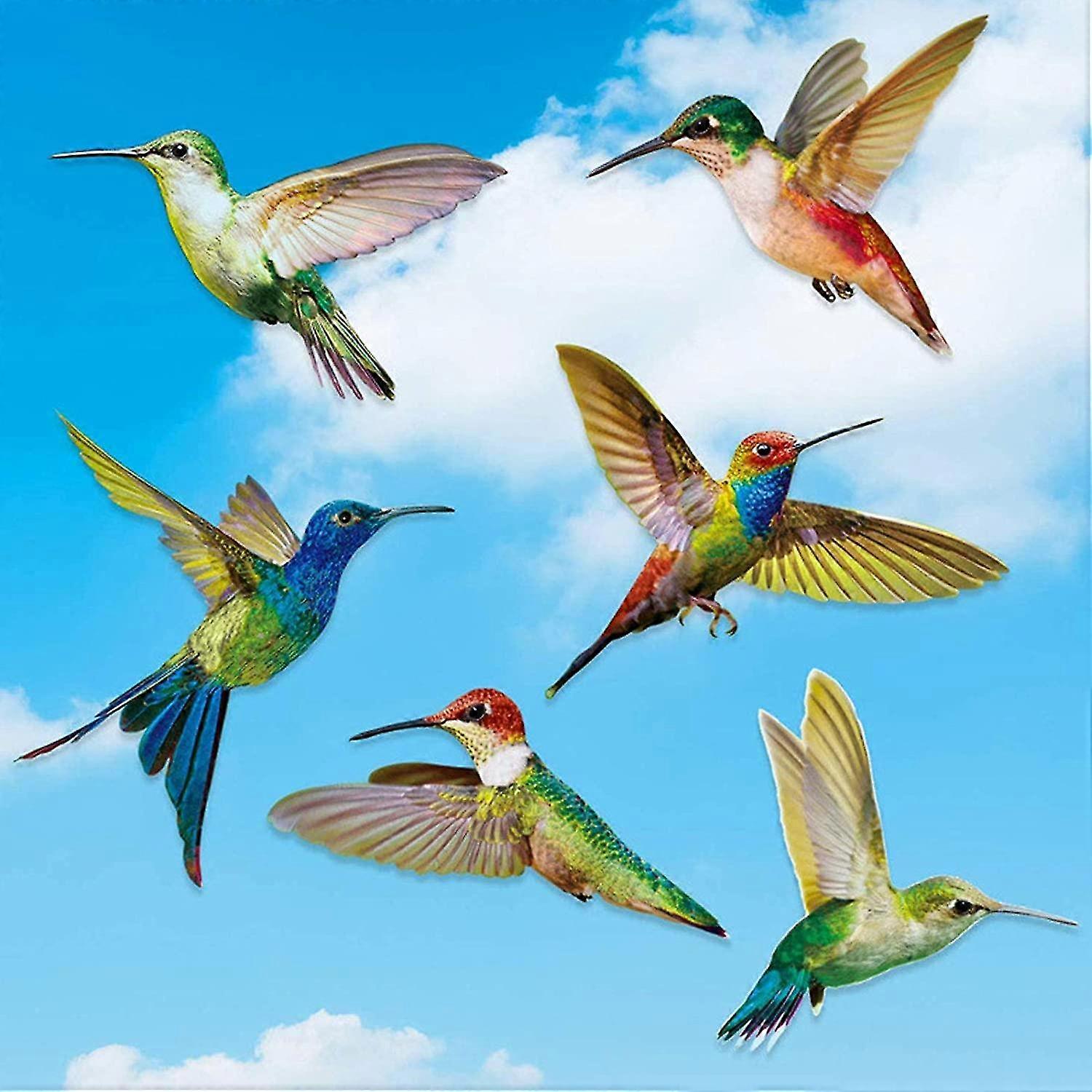 Anti-collision Window Sticker 6 Pieces Hummingbird Window Sticker Birds ...