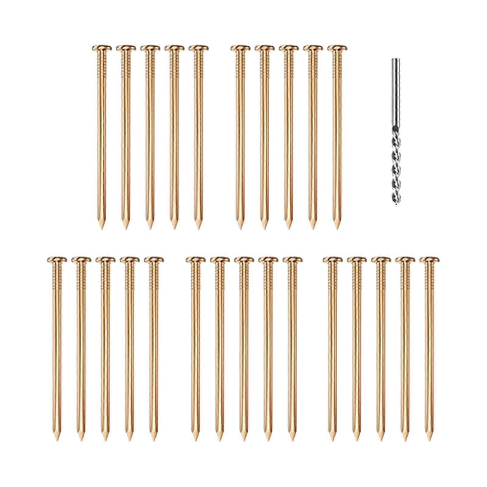 Long Copper Nails Copper Tree Stump Killer Nails Metal Hardware Slate ...