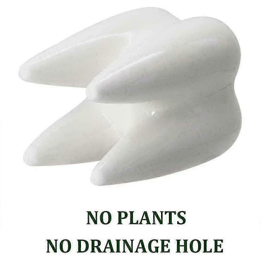 Tooth Shaped Ceramic Flower Pot Planter Plant Holder Succulen Flower ...