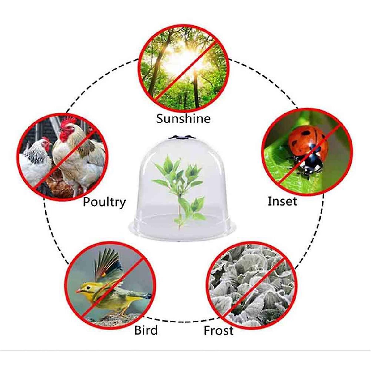 Garden Plant Cloche, 6 Pieces Plastic Plant Bell, Propagation Bells ...