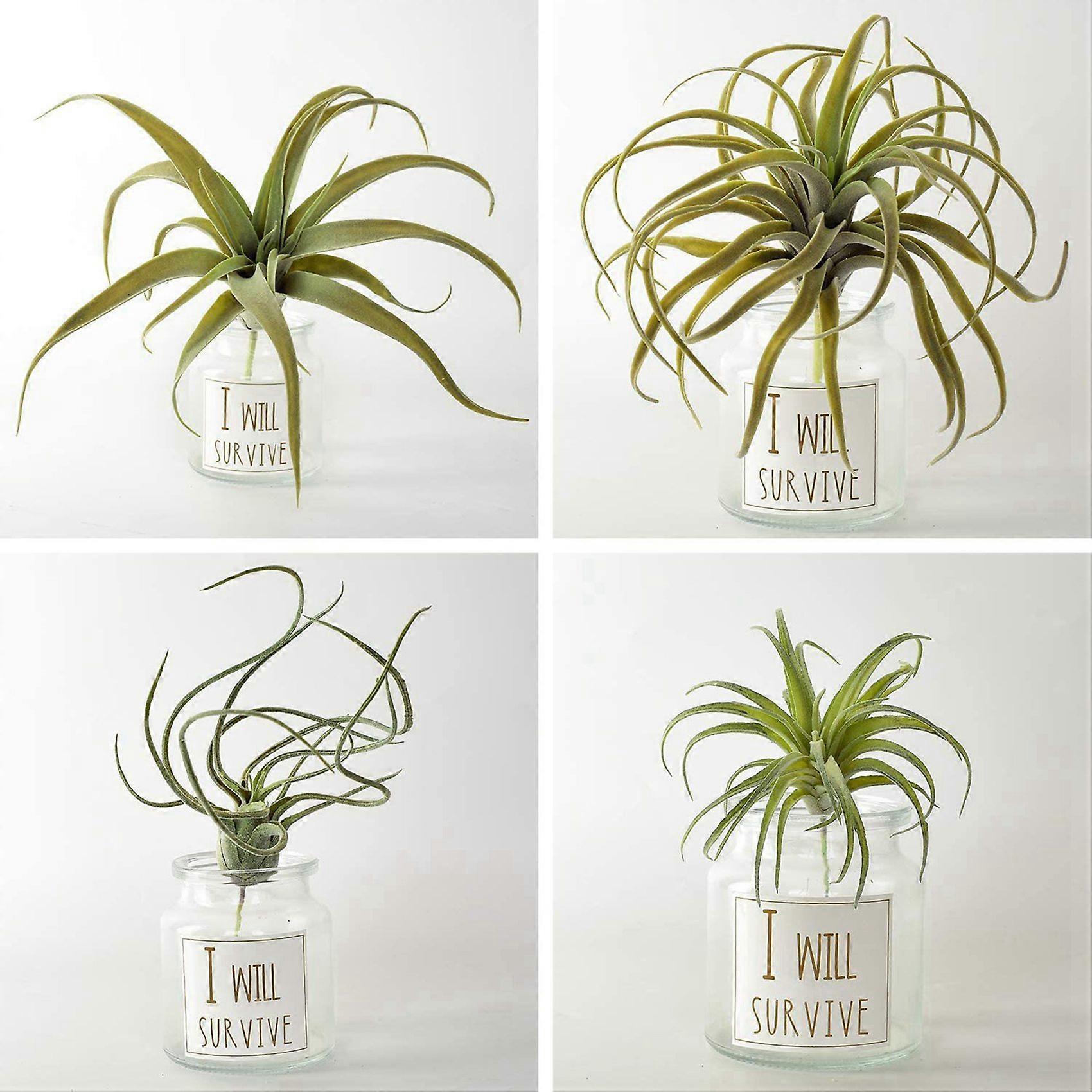 8Pack Artificial Grass Air Plants Flowers Faux Flocking Tillandsia ...