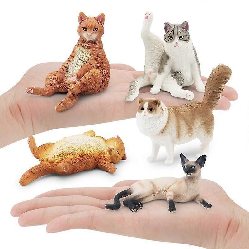 Simulation cat model Ragdoll lazy orange cats Siamese cat small ...