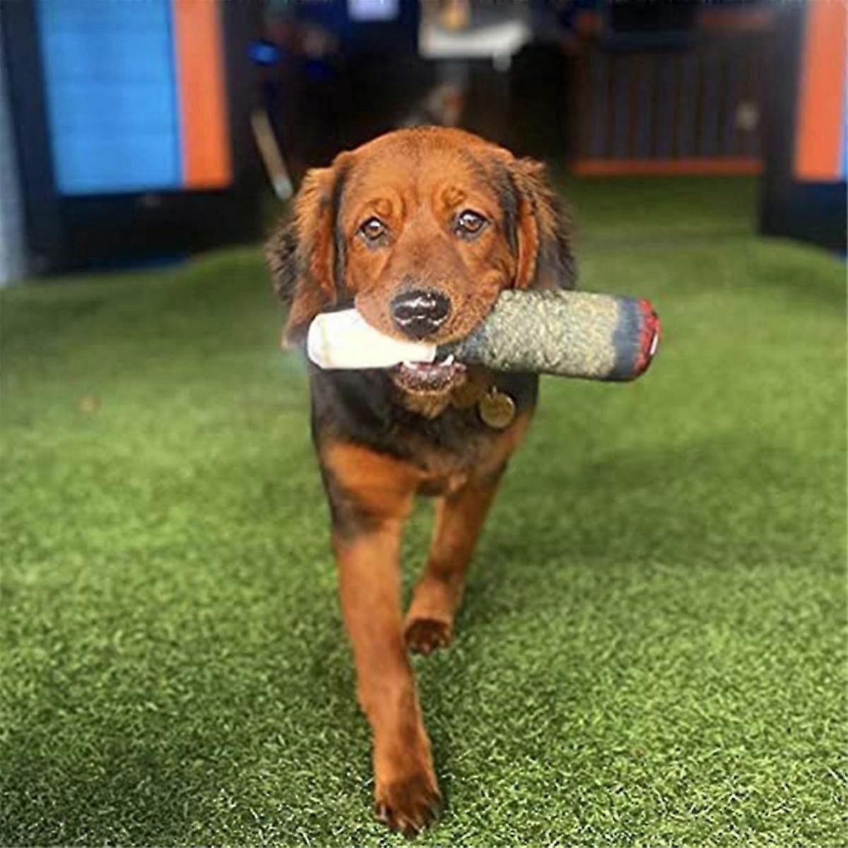 Funny Dog Toys - Plush Squeaky Toys For Medium, Small - Cool Stuffed ...