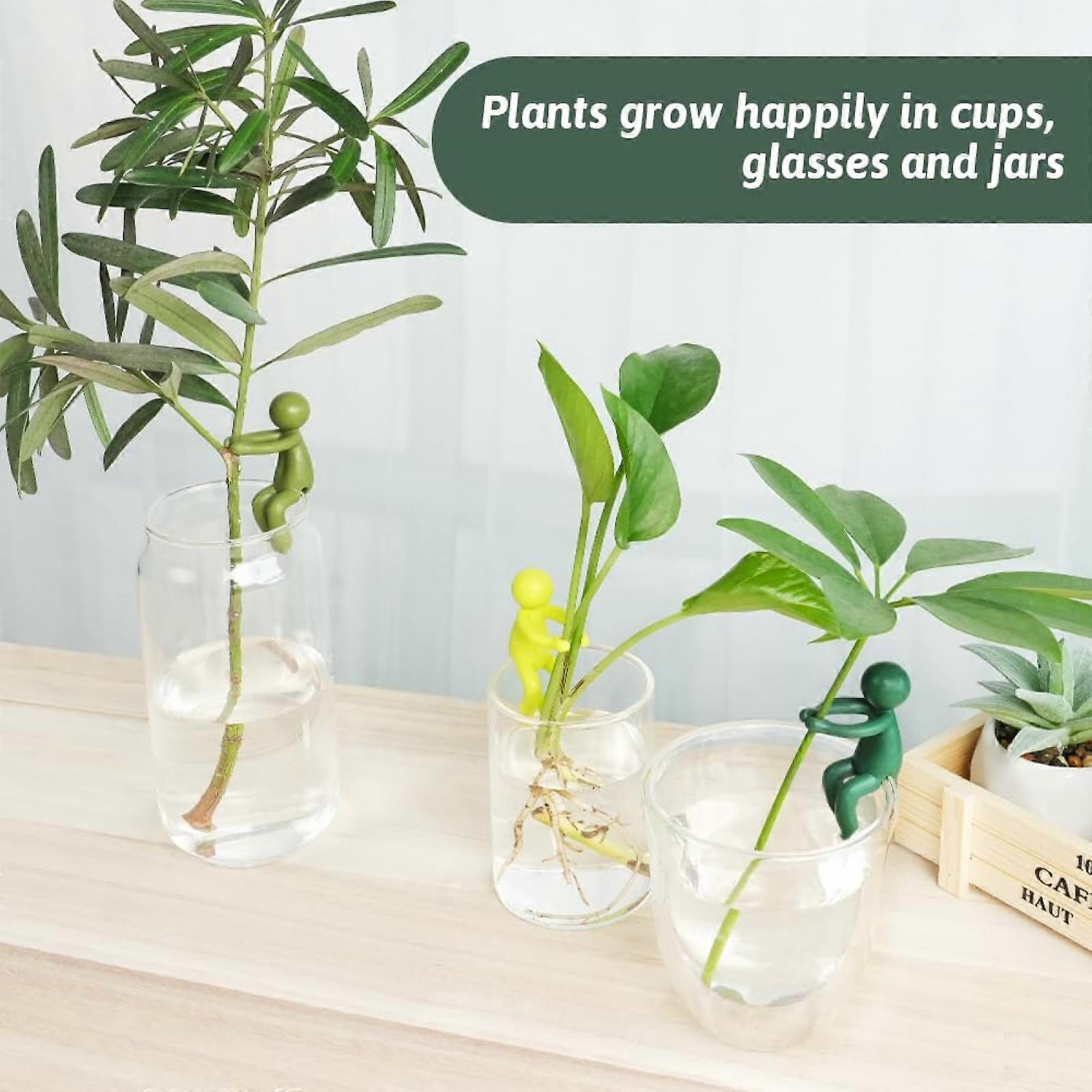 3pcs Plant Supports, Plant Propagation Buddy Plant Support for Sprouts ...