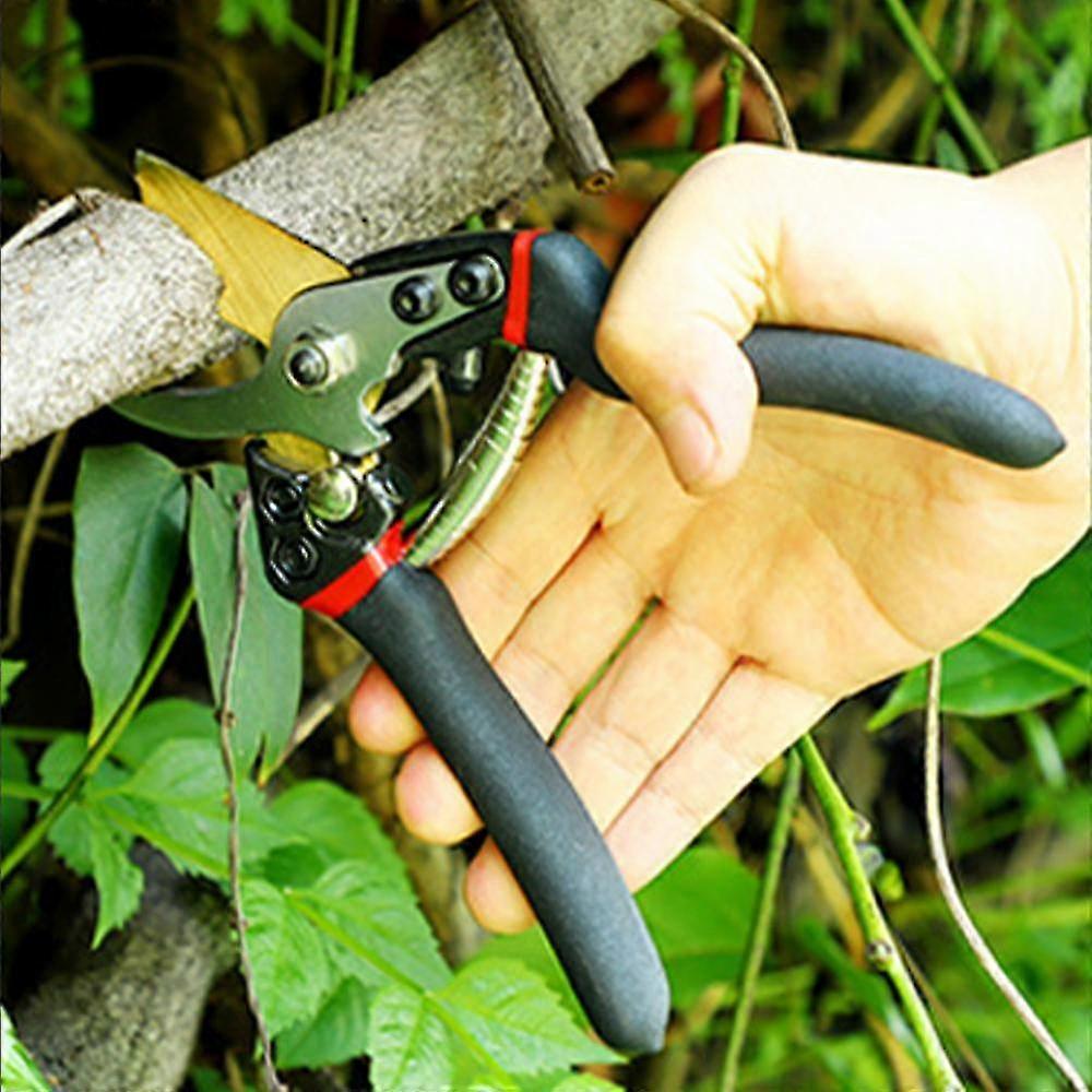 Pruning Shears, Hand Pruner Tree Trimmers Secateurs, Garden Shears ...