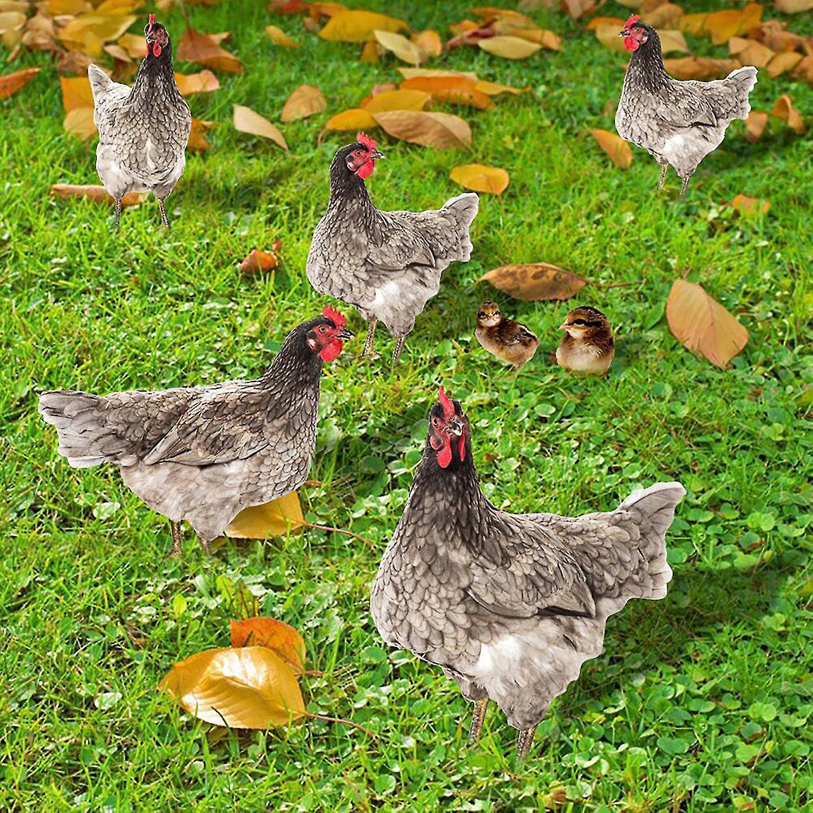 Farfi Rooster Decor Realistic Life-like Ornamental Double-sided ...