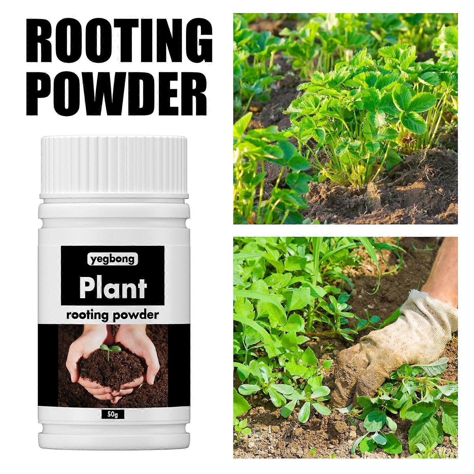 Plant Rooting powder 50g cuttage plant hair root general seedling fruit ...