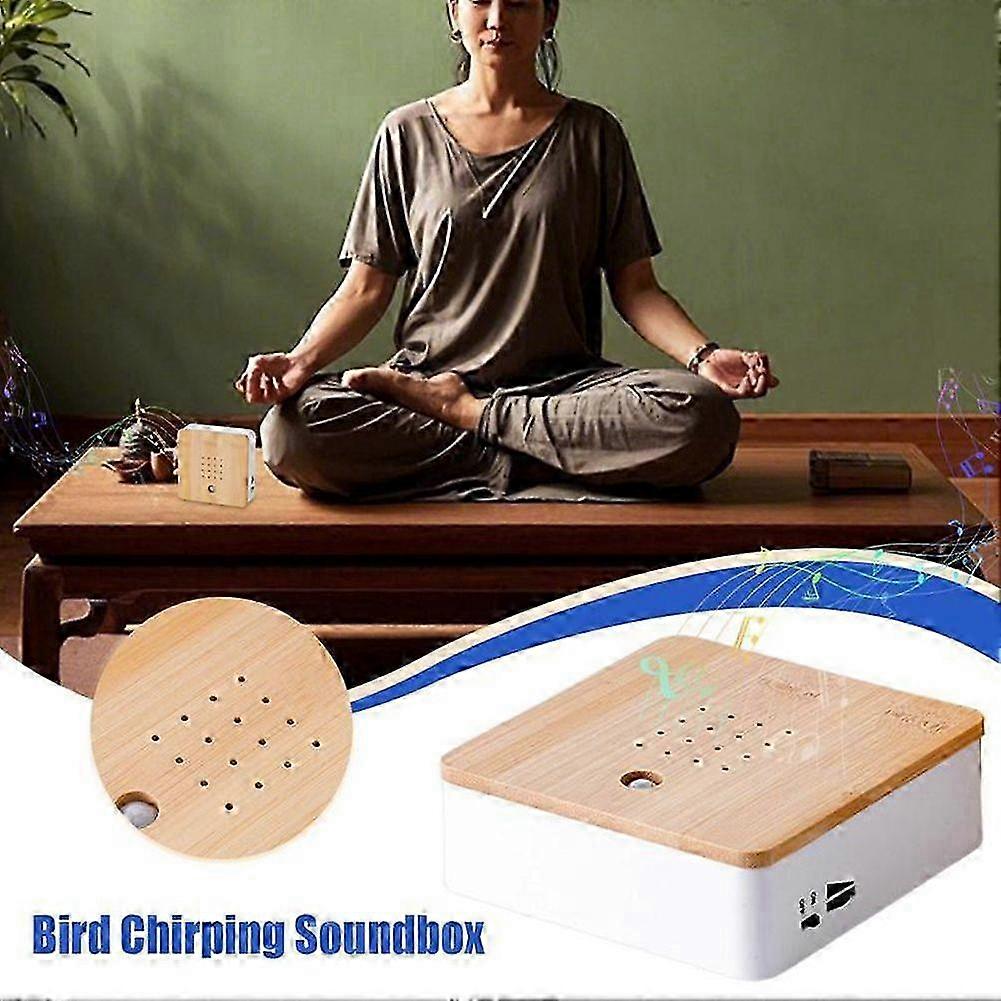 Motion Sensor Bird Chirping Sound Box with Singing Bird Sounds for ...
